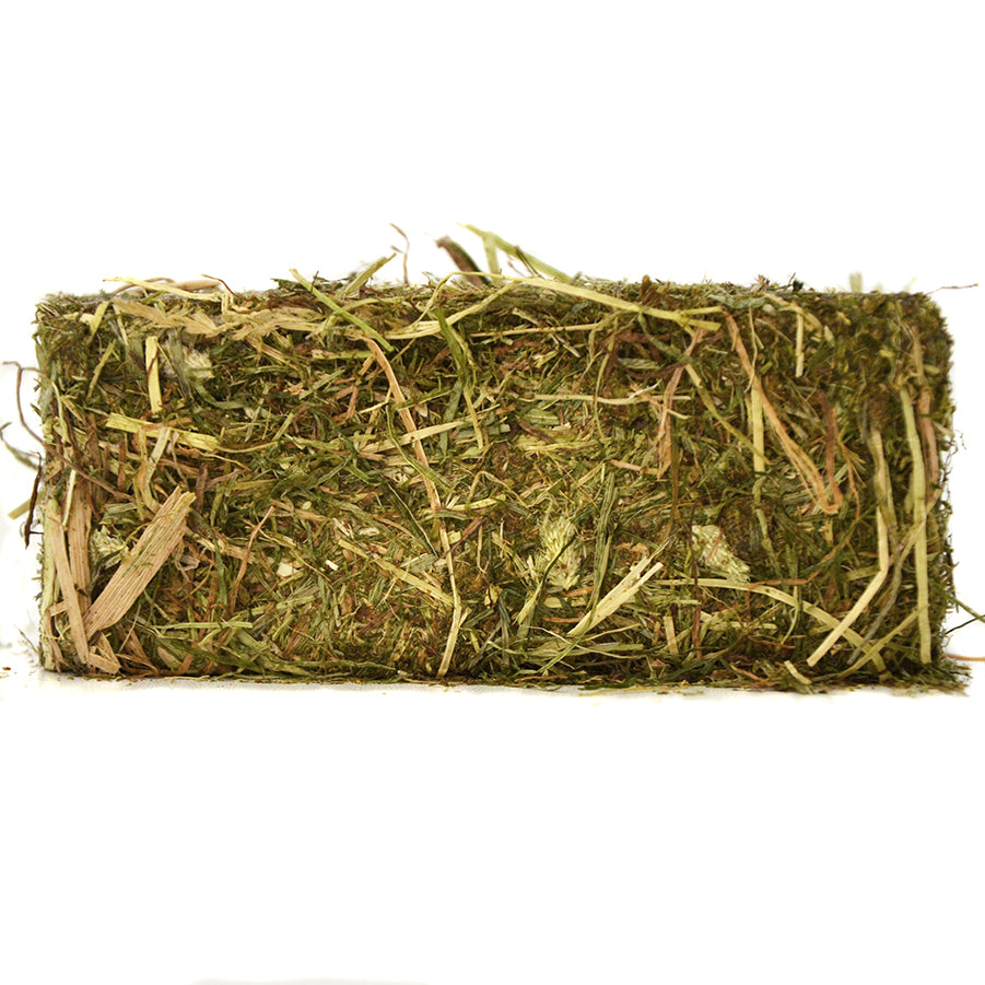 OMENTO ZERO GRAIN (ohne Getreide)